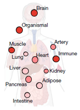 DIYgenomics Genome Query